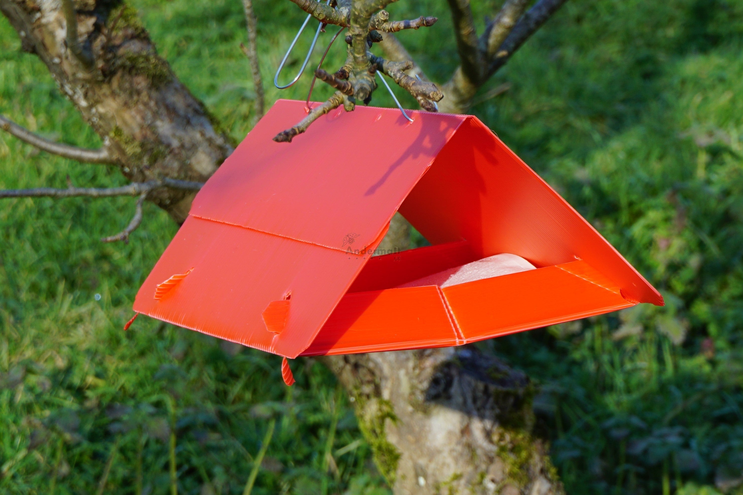 Fruit Tree Tortrix (Archips podana) Trap – Andermatt UK